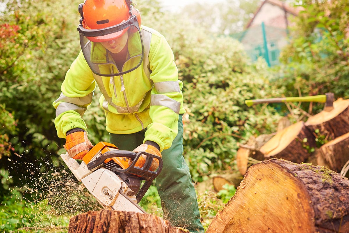 Tree Removal in Tigard, OR | Ash Tree Enterprises