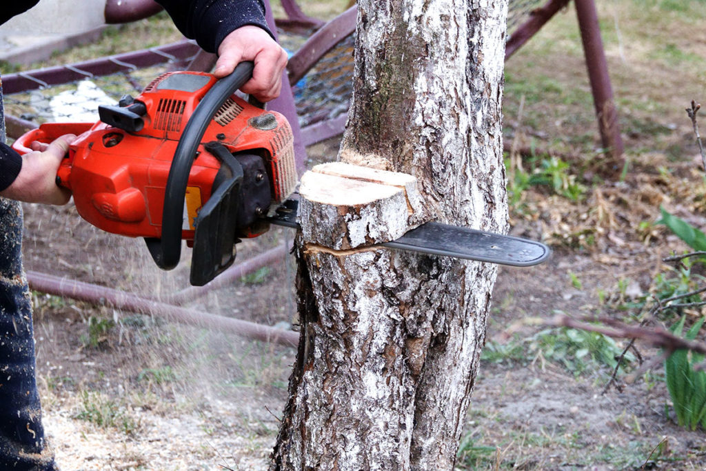 Ash Tree Enterprises in Woodburn, OR